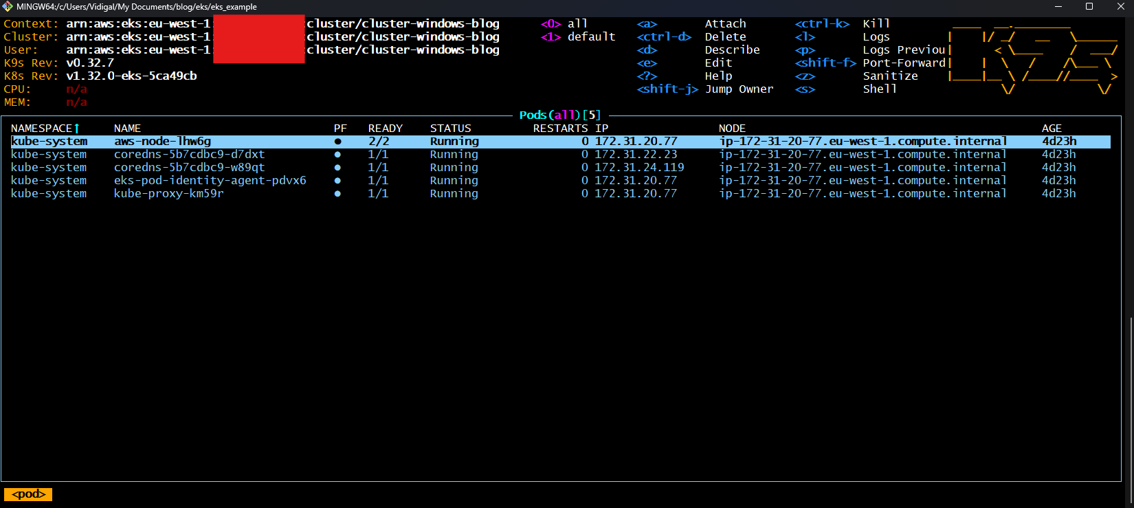 Windows Nodes on AWS EKS – Vidi's Corner